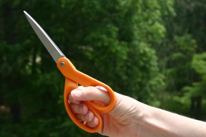 Reflection and Never Running with Scissors – Michael Perry